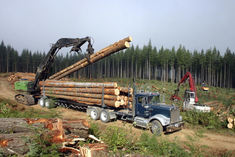 Alabama Timber Buyers and Logging - Covered Bridge